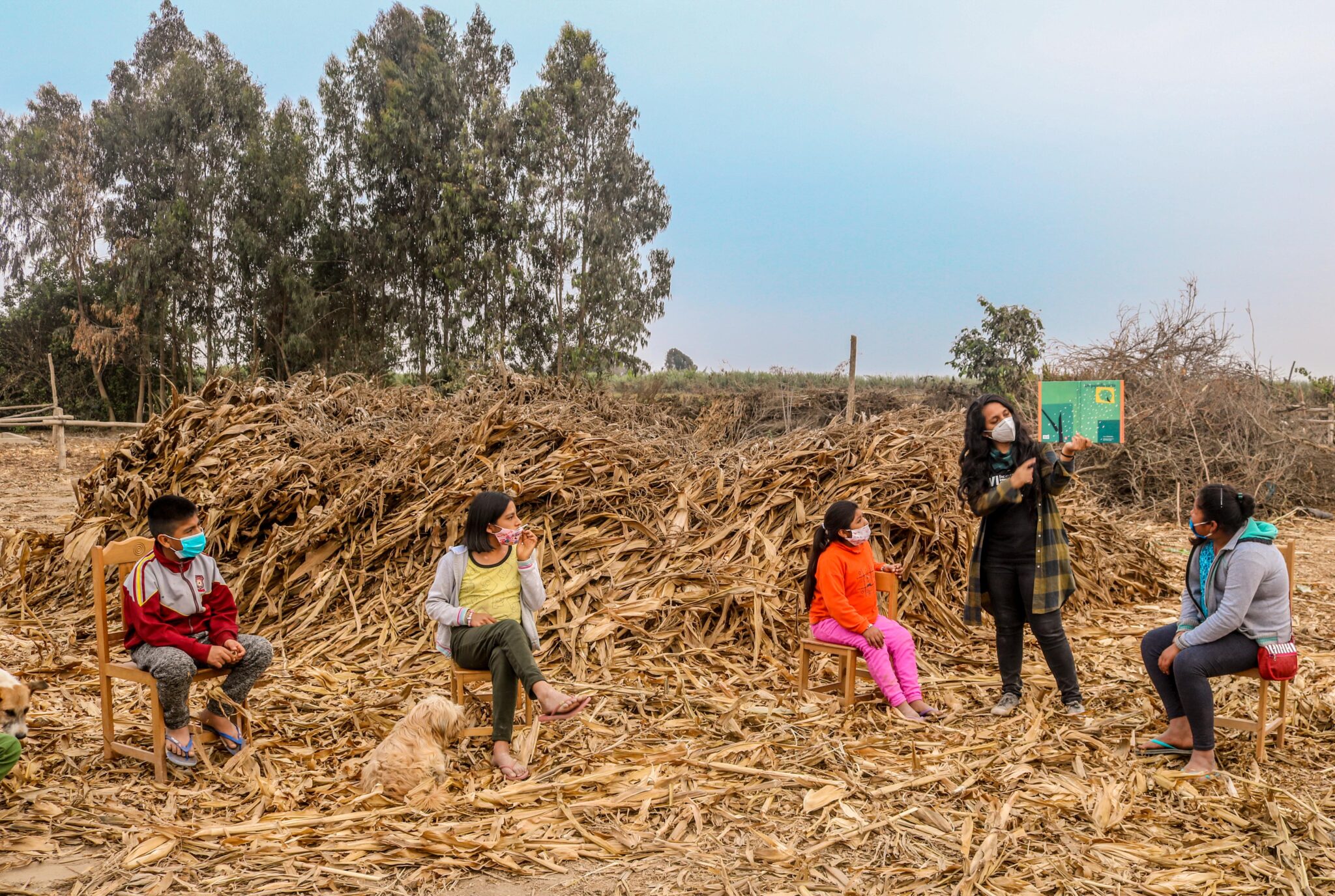 Qué es el Año - Iberbibliotecas