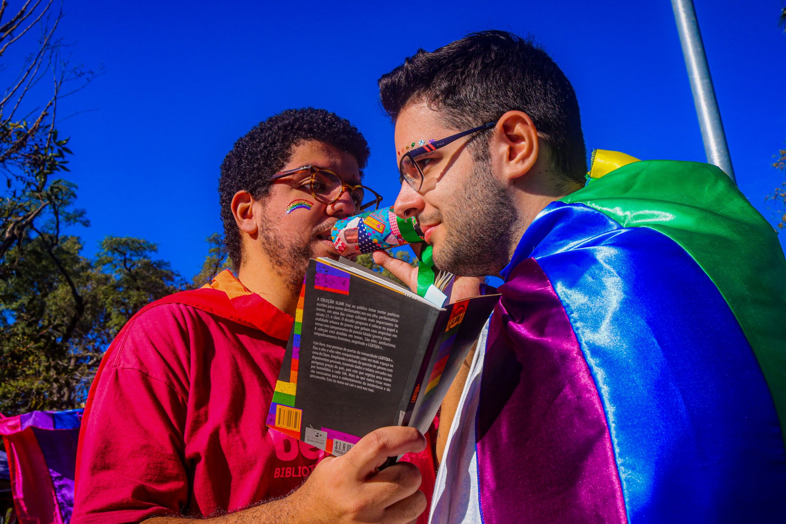 RNBC + diversa: a literatura LGBTQIAP+ na prática das bibliotecas ...